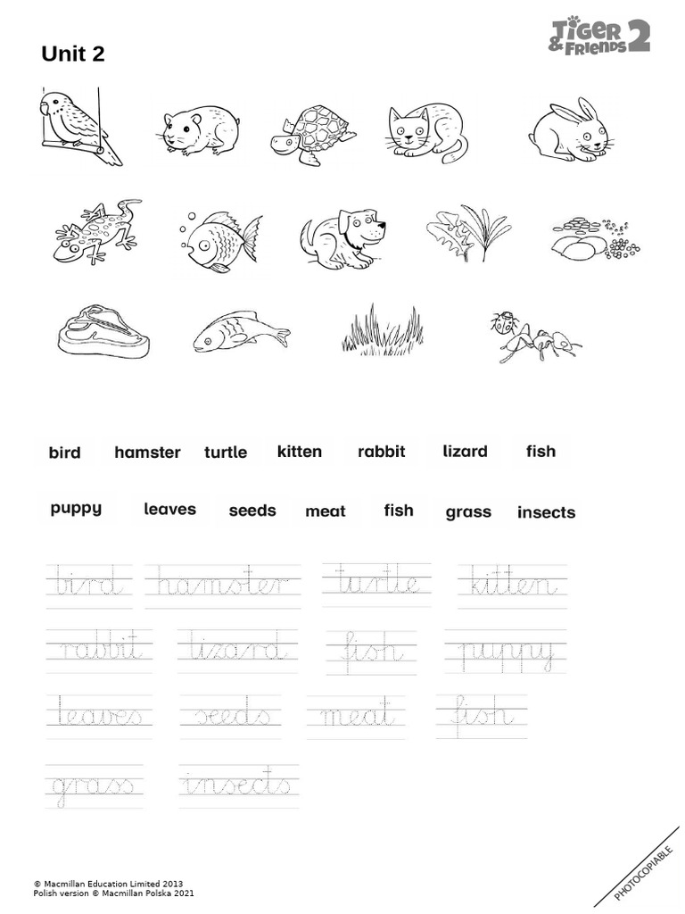 Tiger&Friends 2_TRF_Unit 2_DIY_Bank | PDF