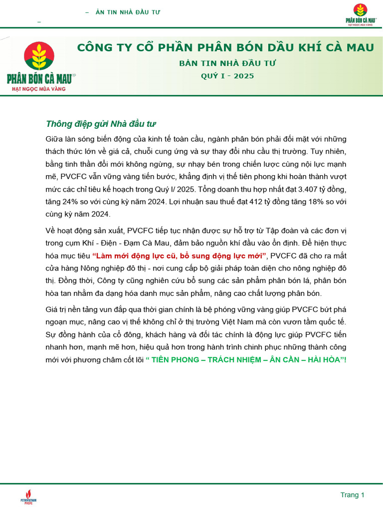 Ban Tin Nha Dau Tu DCM Quy 1.2025 | PDF