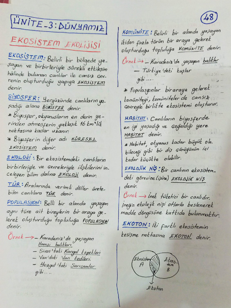 10.sinif Biyoloji Ekosistem Ders Notlari | PDF