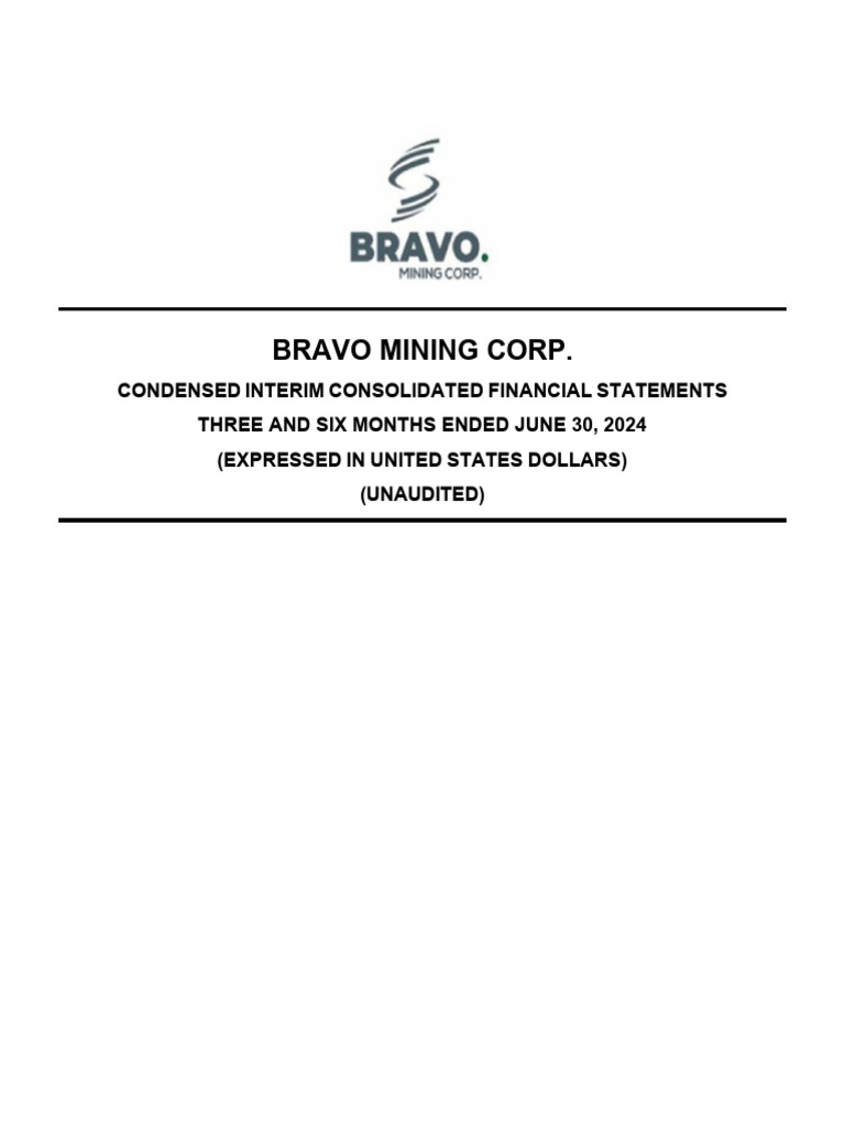 q2 Fs Fy24 Board Approved | PDF | International Financial Reporting ...