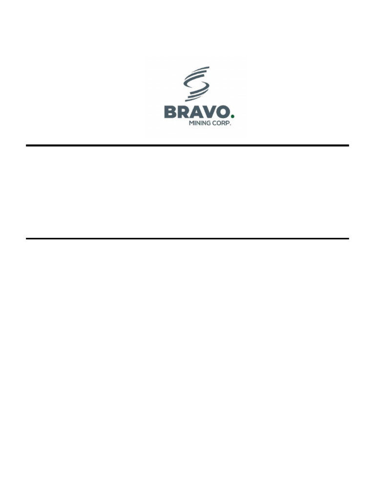 Bravo Fs Dec2022 20230331 - Audit Report 4-3-2023 | PDF | Historical ...