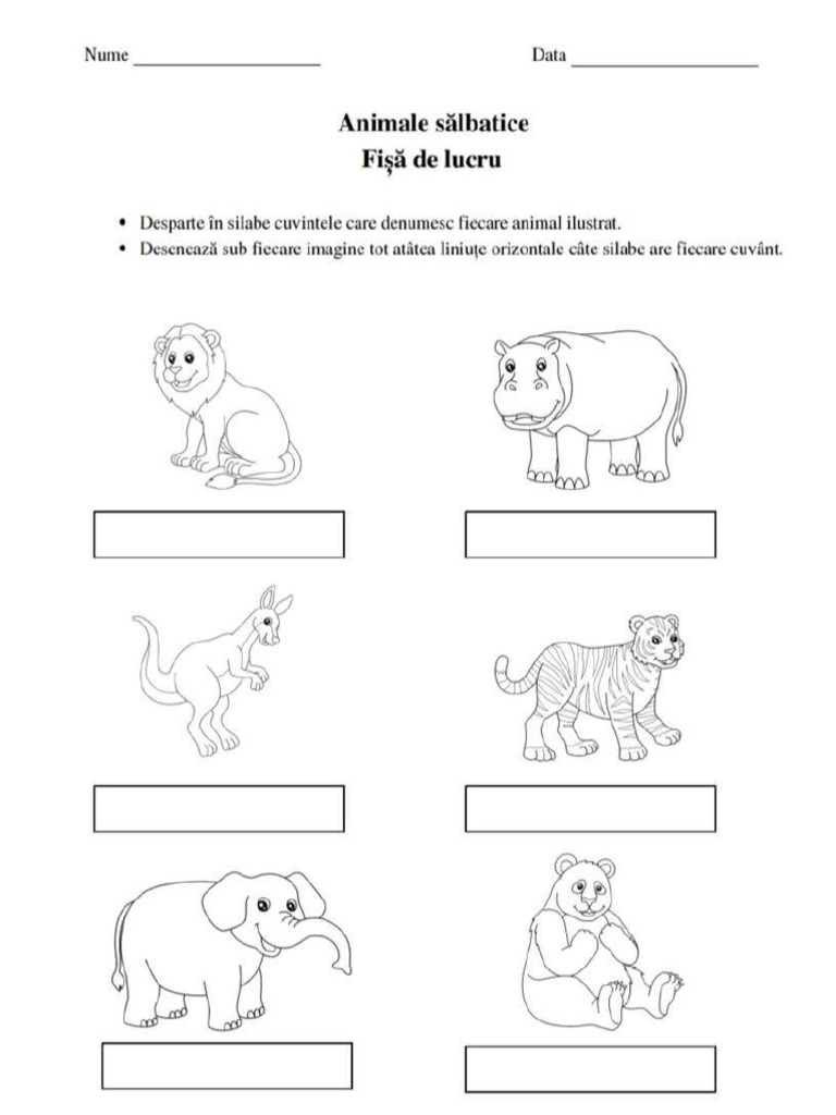 Animale - Silabe | PDF