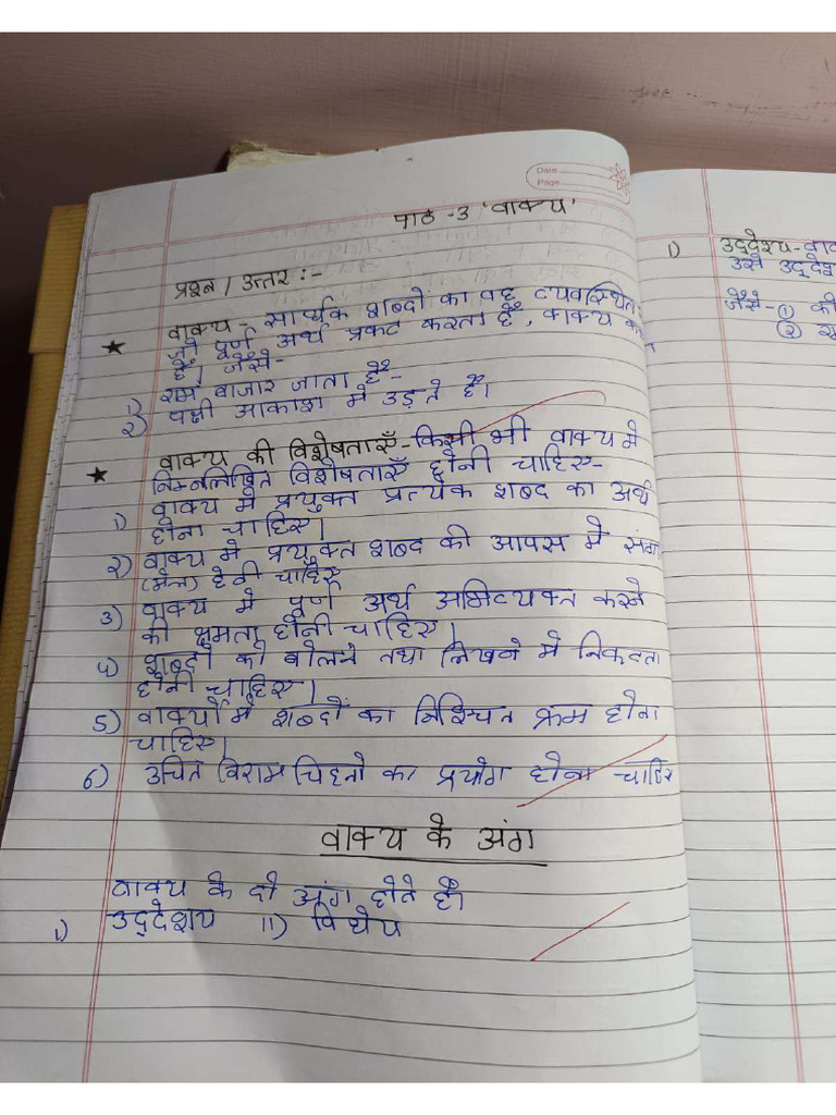Sentence in Hindi Notes | PDF