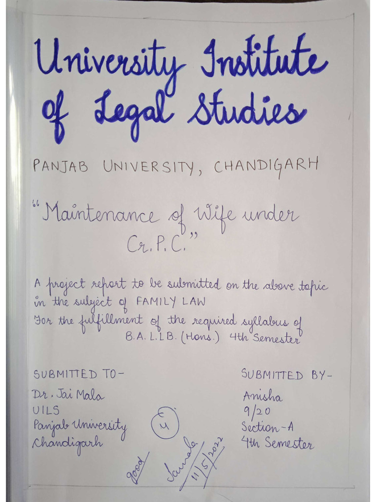 Family Law Project | PDF