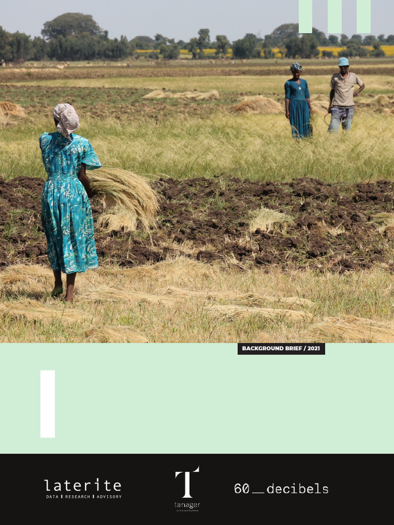 Teff Farming in Ethiopia Background Brief VF | PDF | Cereals | Agriculture