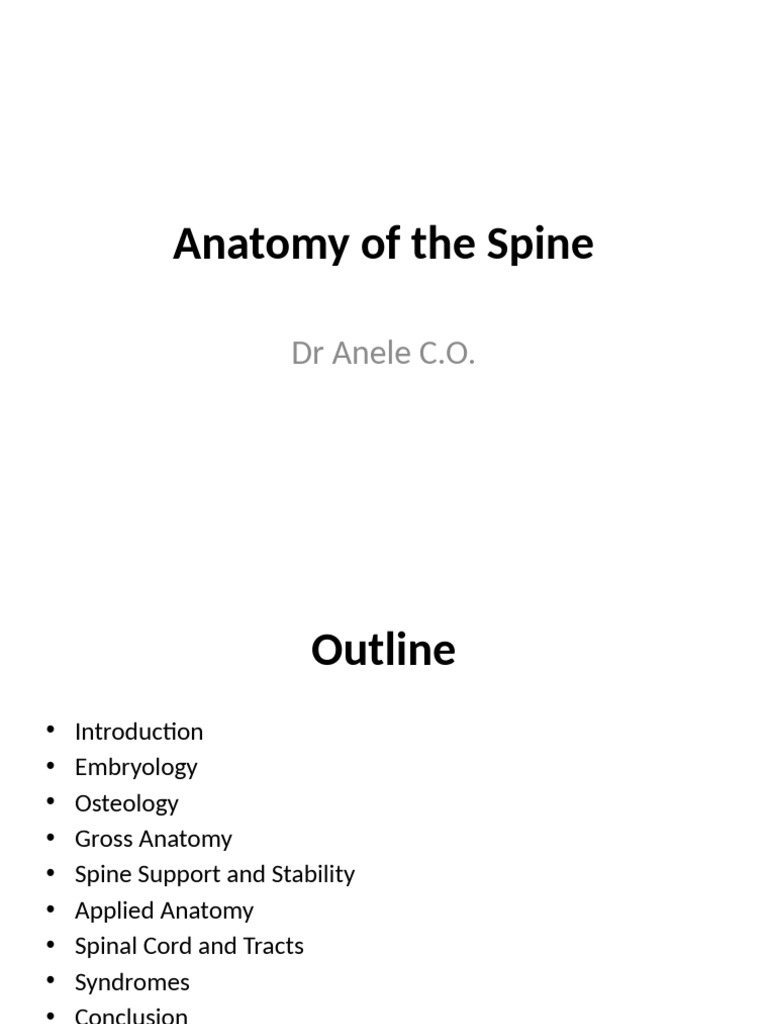 Comprehensive Spine Anatomy Guide | PDF | Vertebral Column | Vertebra