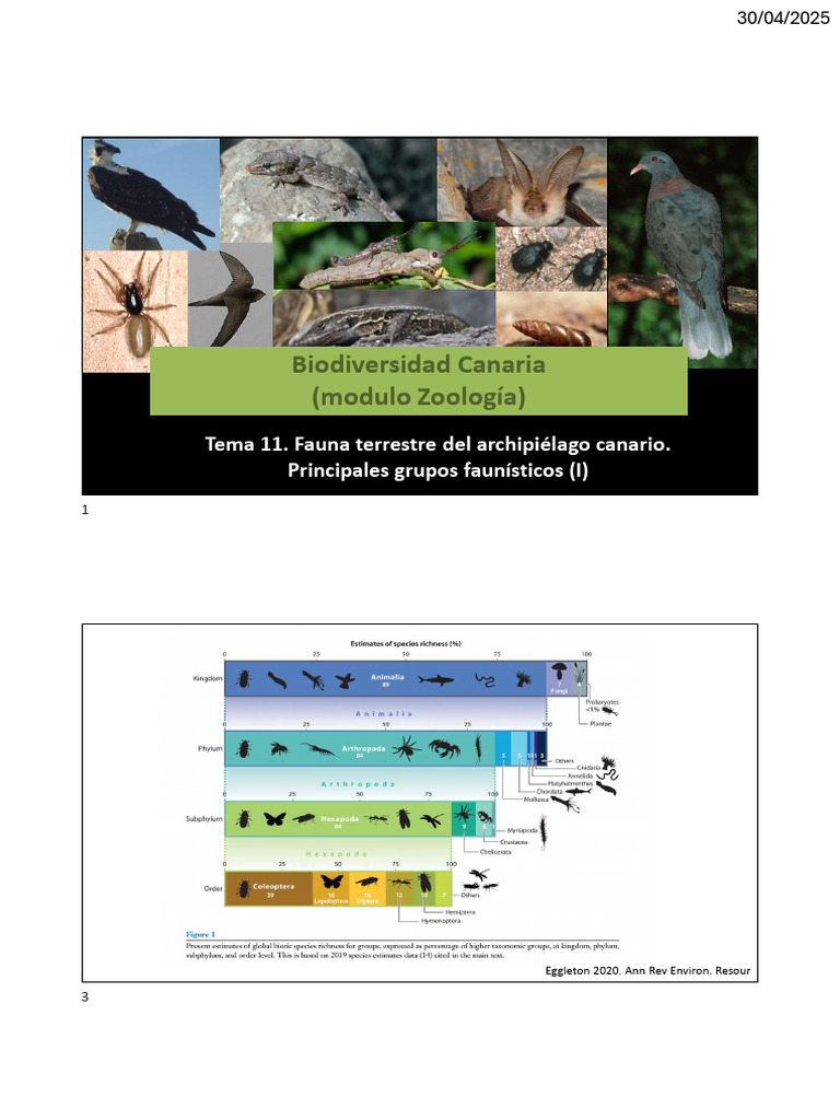 1 - Intro - BC - Fauna Terrestre - v2025 | PDF | Especie en peligro ...