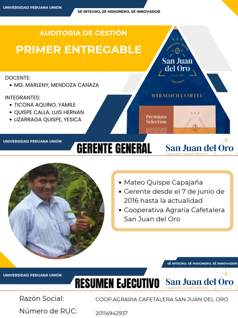 Auditoría de la Cooperativa Cafetalera | PDF | café | Perú