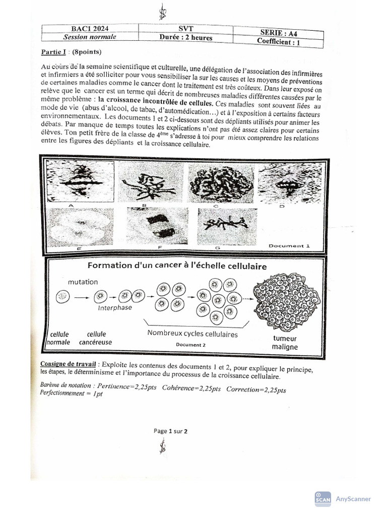 SVT 1A4 Bac1 2024 | PDF