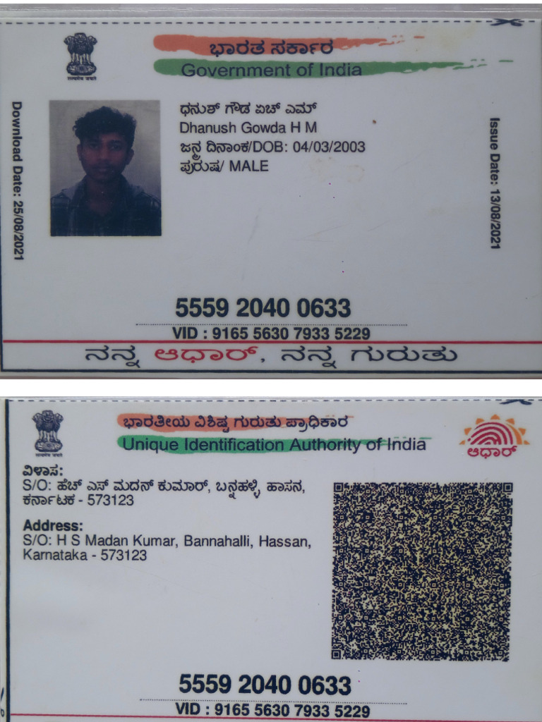 Government ID Proof | PDF