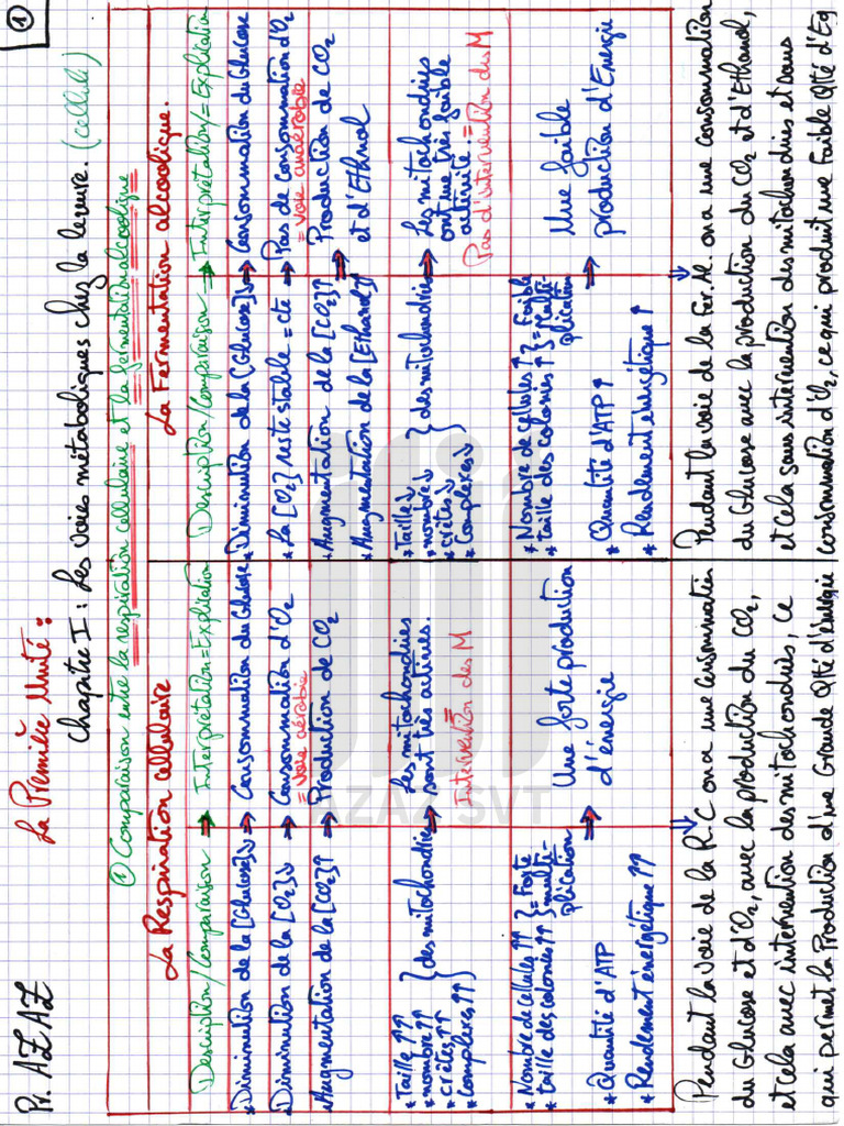 Resume - ATP - 2. BAC SIENCE PC 2025 | PDF