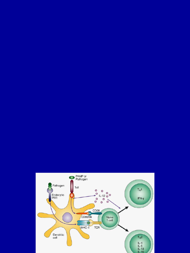 Ilovepdf Merged 2 | PDF | Immune System | Cytokine