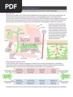 Blood Glucose Control Mechanisms | PDF | Insulin | Glucose
