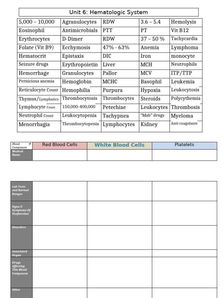 Hematologic+Syst+ +BLANK+Chart | PDF