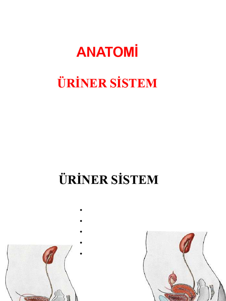 DFFGGFFFFF | PDF