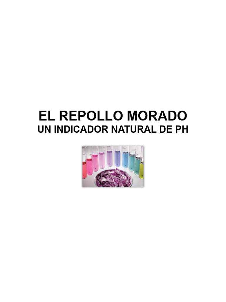 Repollo Morado como Indicador de pH | PDF | Ph | Color