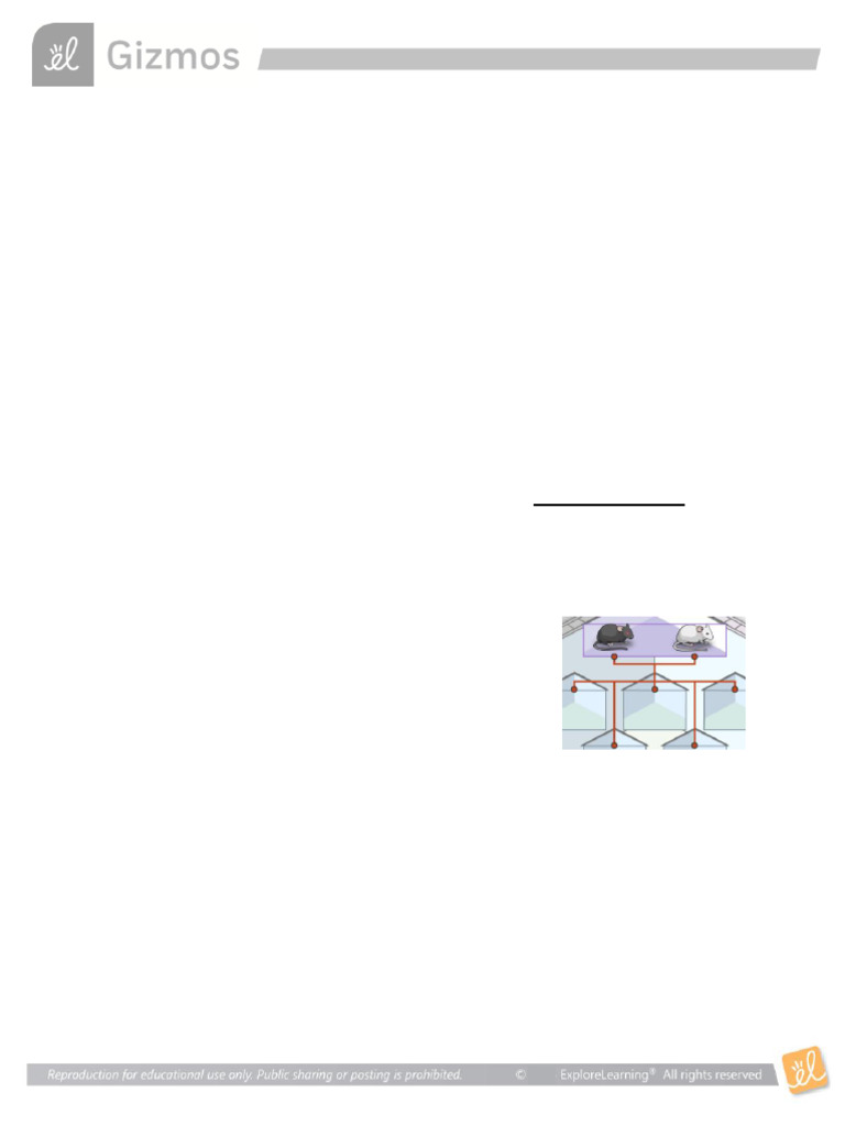 Unit 2 Assignment MouseGenetics2 | PDF | Genotype | Mouse