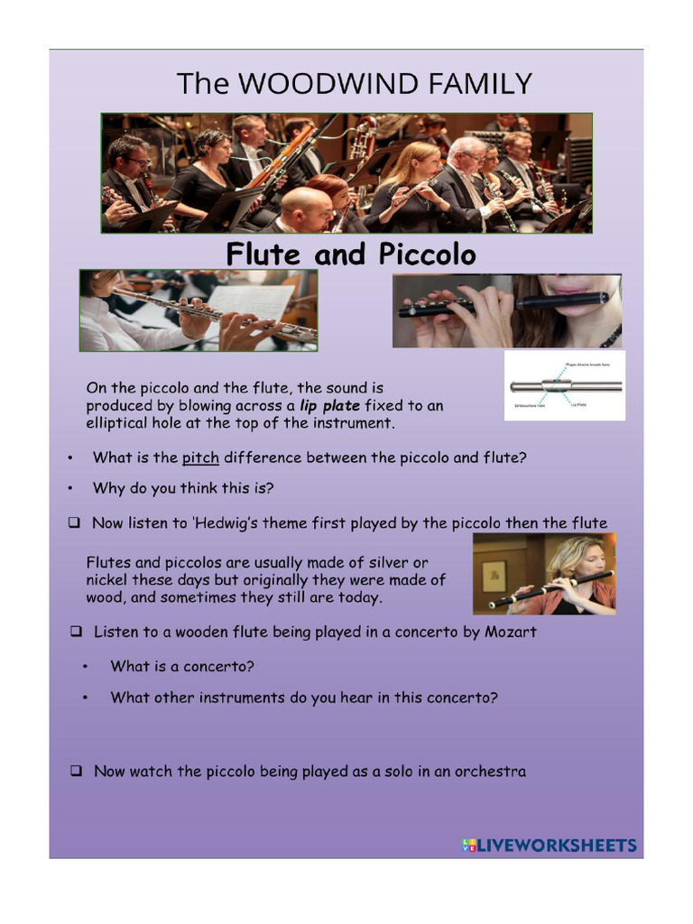 woodwind 긴버전 | PDF