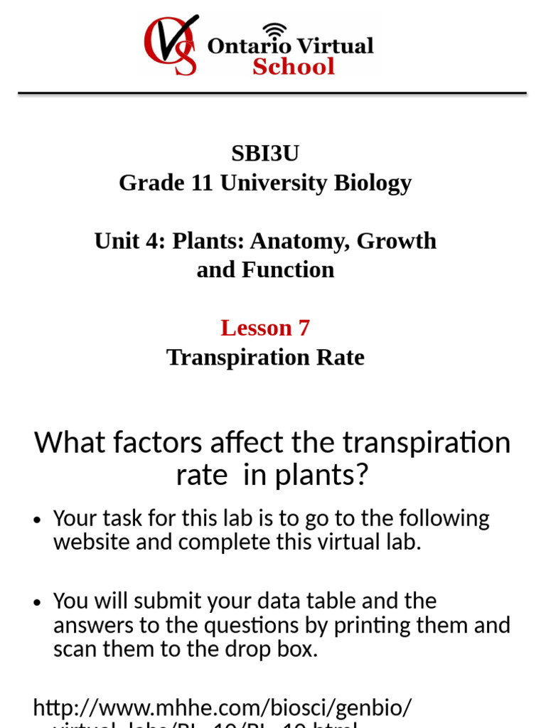 Unit 4 - Transpiration Lab | PDF