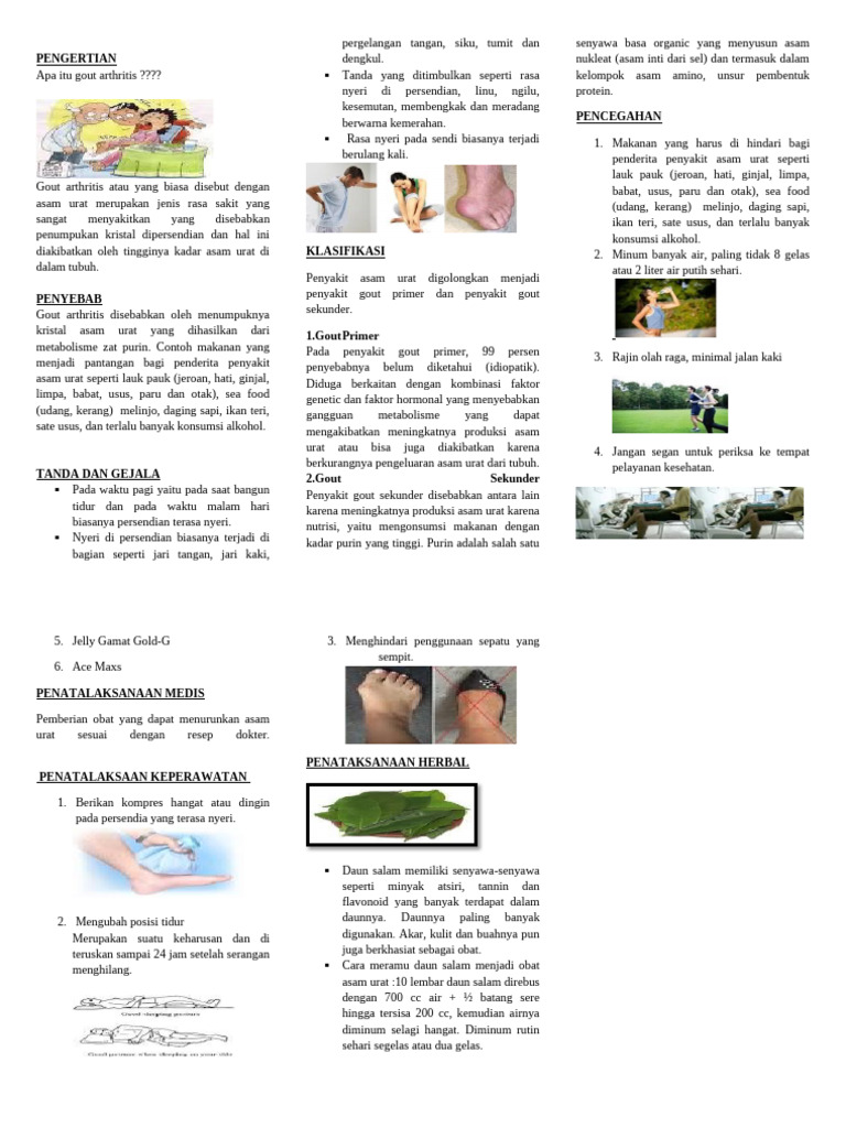 Leaflet Gout Arthritis | PDF