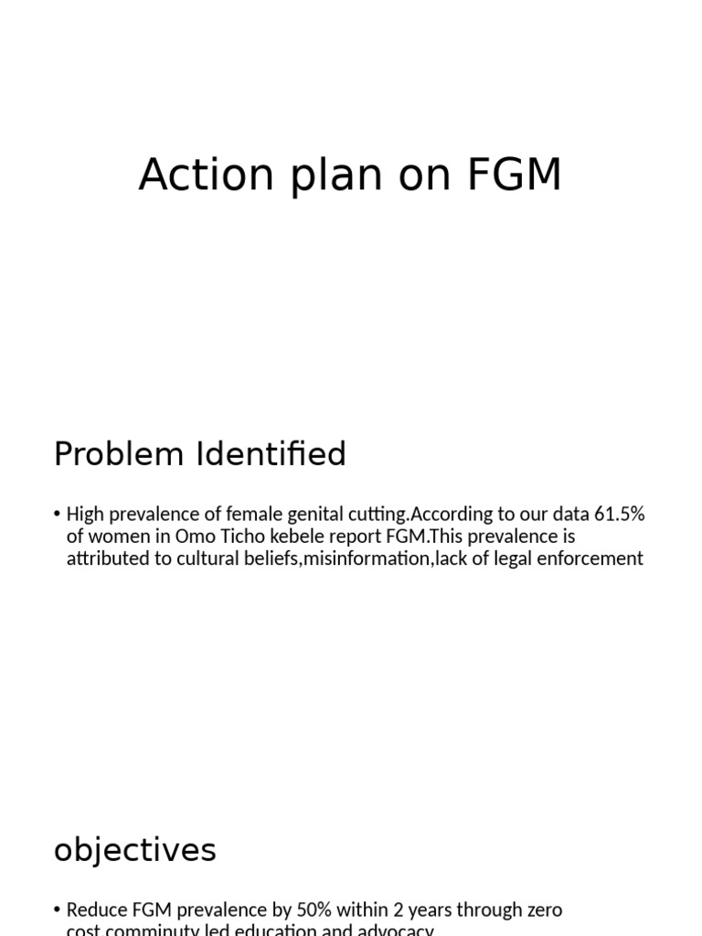 Action Plan on FGM EDITED | PDF