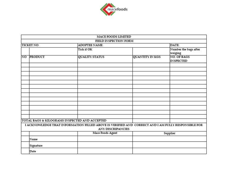 240718 MFL Field Inspection Form | PDF