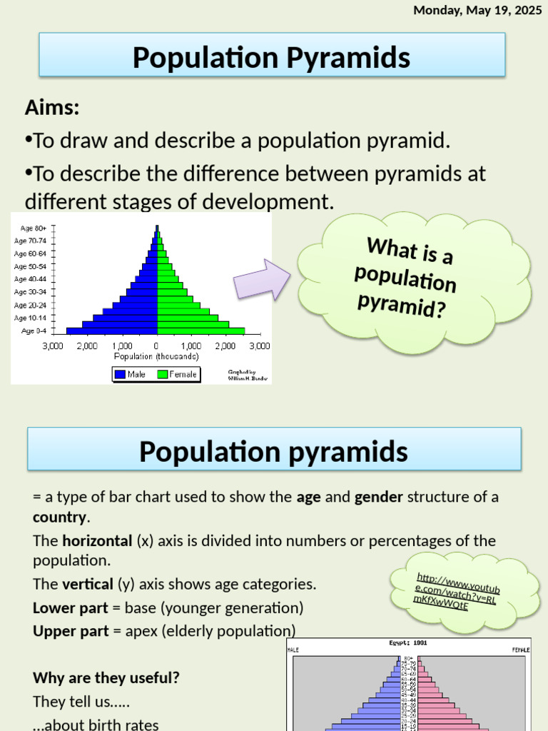 Population Pyramids | PDF | Ageing | Human Development