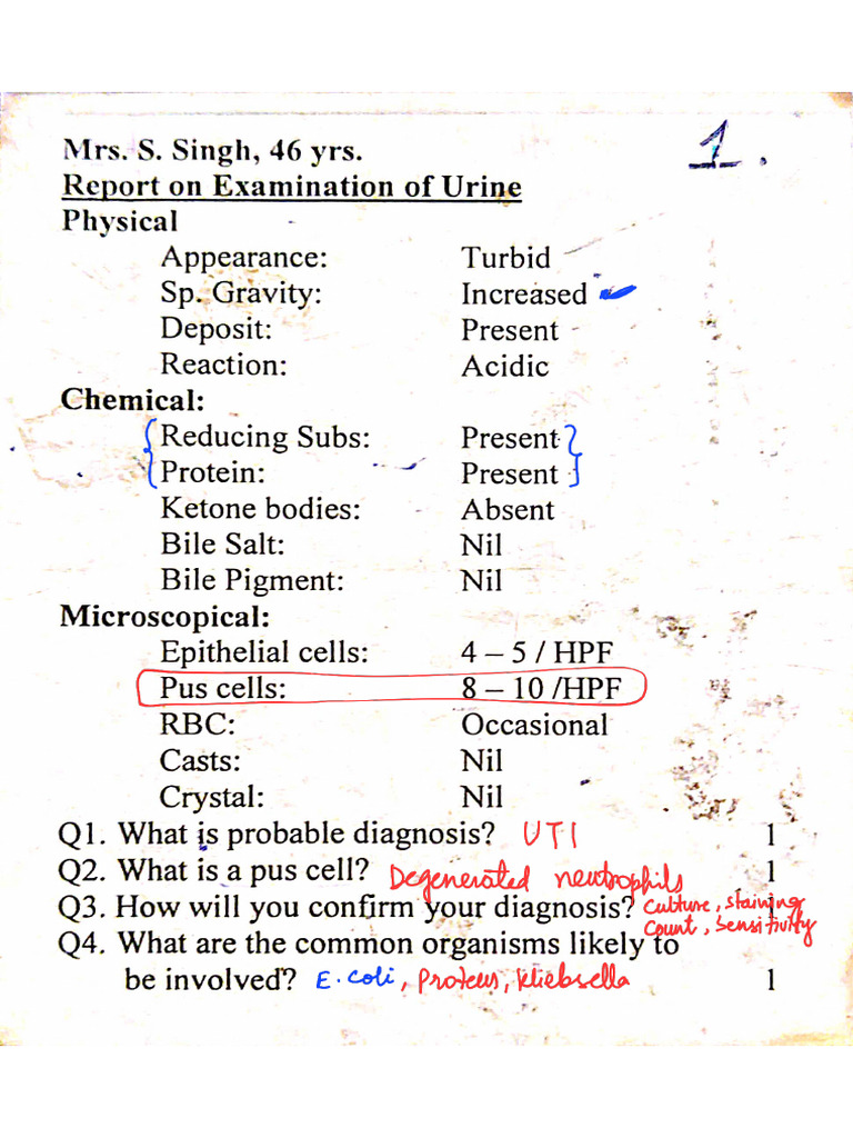 Patho Charts - 230422 - 210128 | PDF