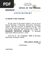 Sample Flow Program Fiesta | PDF