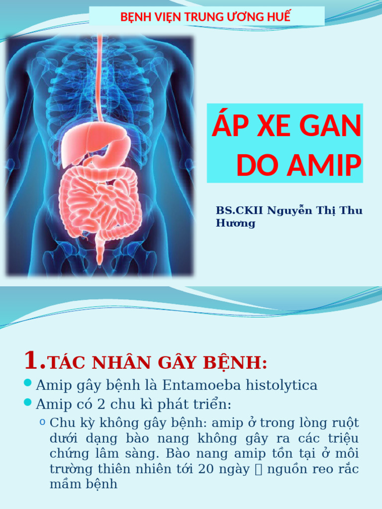 Áp Xe Gan | PDF