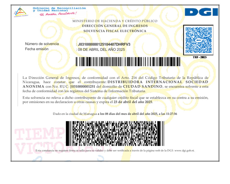 Diinsa Solvencia 23 04 2025 | PDF