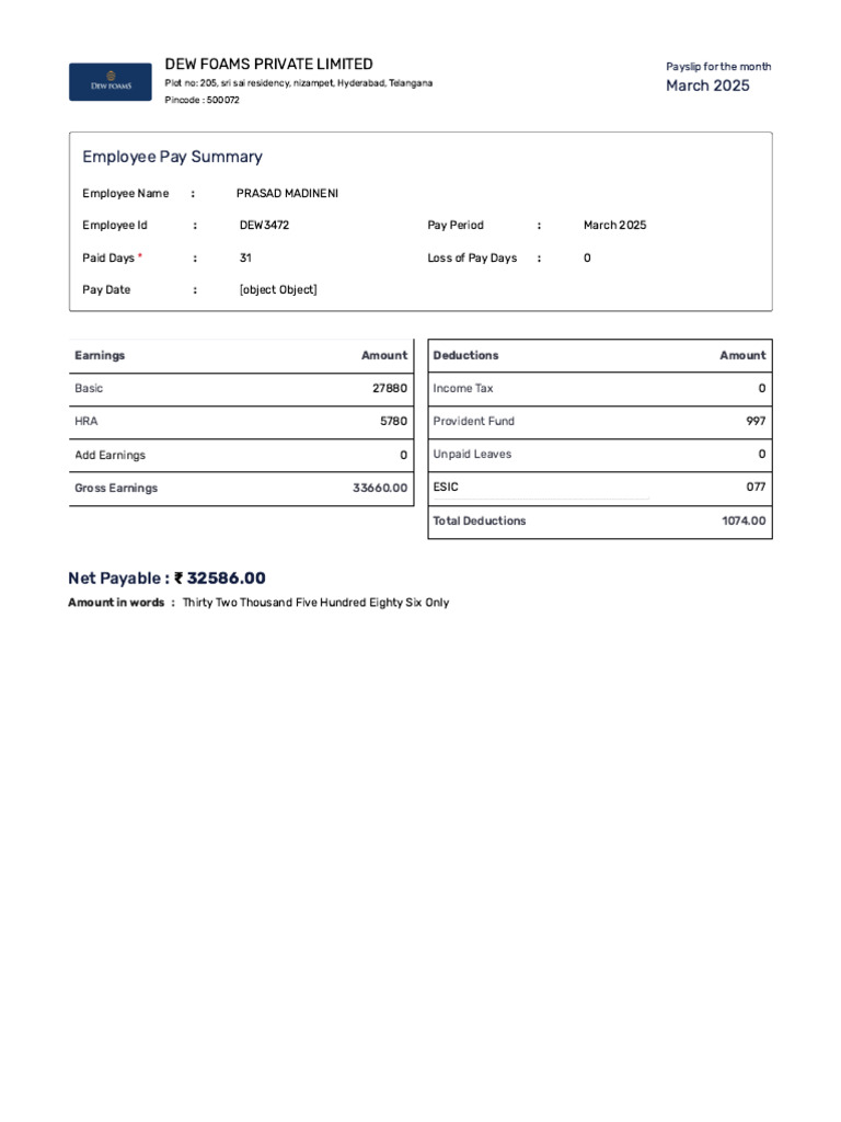 Free Payslip Generator Online - Create Custom Payslips | PDF