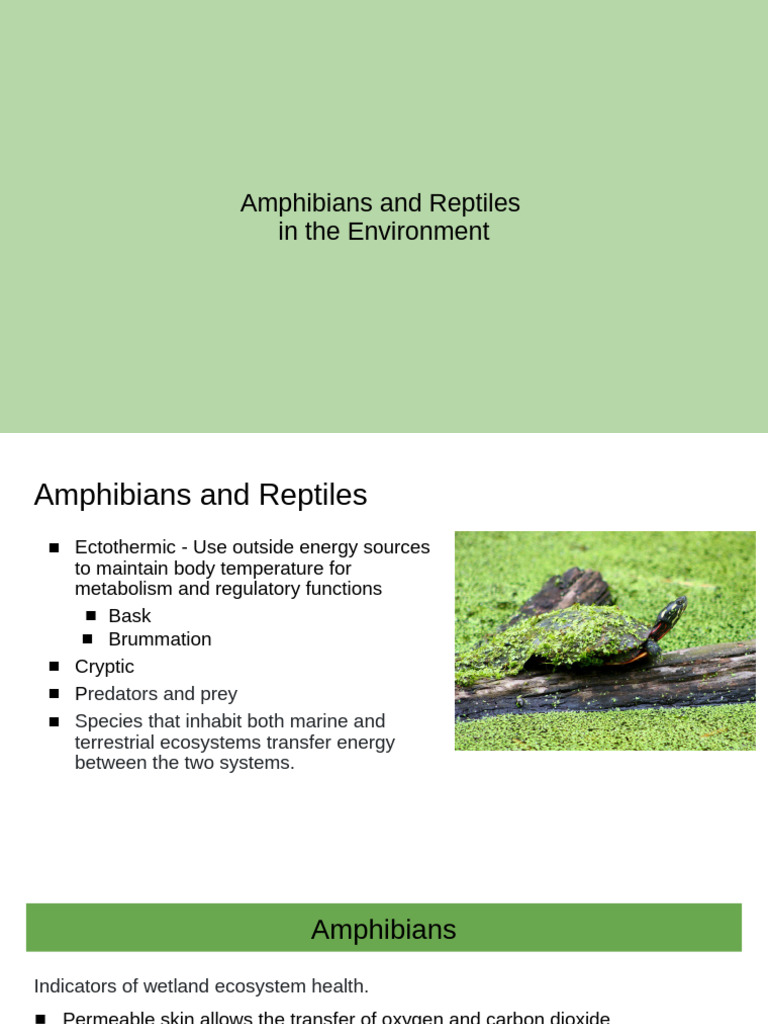 BIOL 3244 Reptile and Amphibian Ecology Slides | PDF