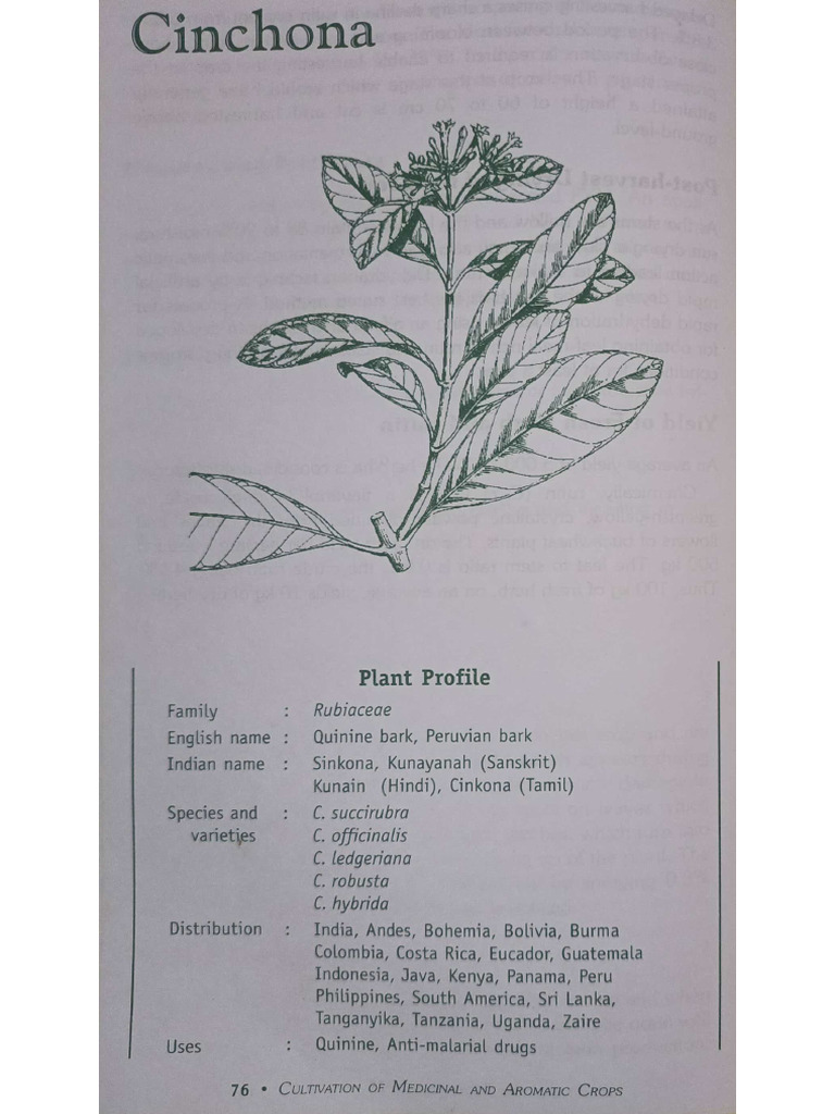 Cinchona | PDF