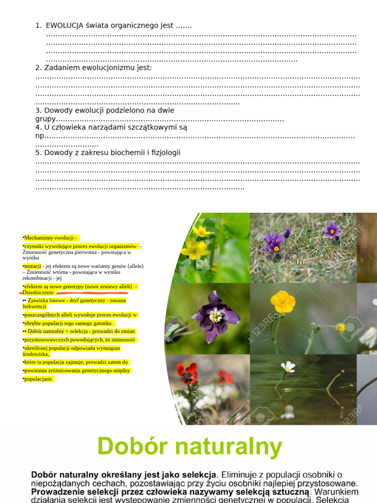 Dobór Naturalny | PDF