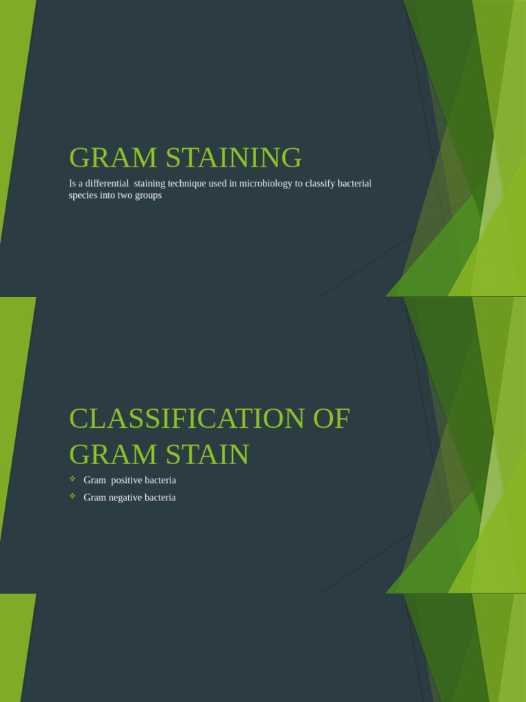 Gram Staining Group 3 Food Microbiology-1 | PDF
