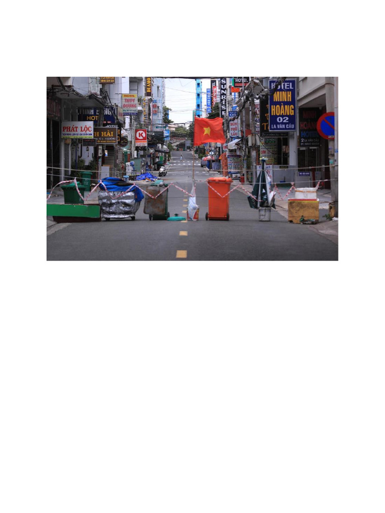 Rachel Tough COVID 19 Study | PDF | Ethnography | Vietnam