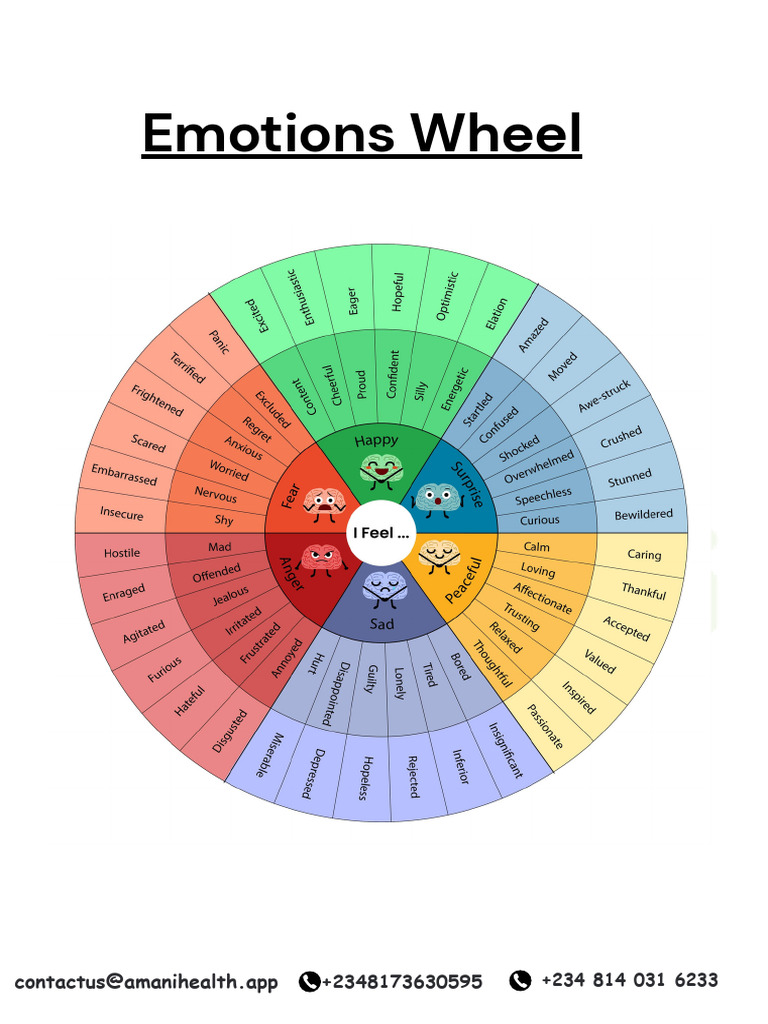 Learning About My Emotions | PDF | Fear | Emotions