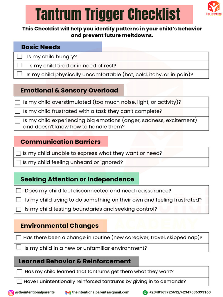 Tantrum Trigger Checklist - 20250130 - 155832 - 0000 | PDF