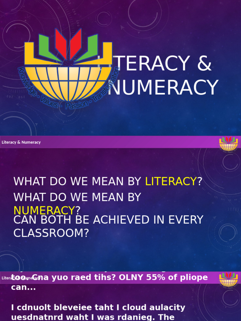 INSET 2 - Literacy and Numeracy | PDF