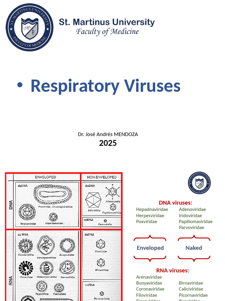 Virology 4th Lecture Respiratory Viruses | PDF | Influenza | Virology