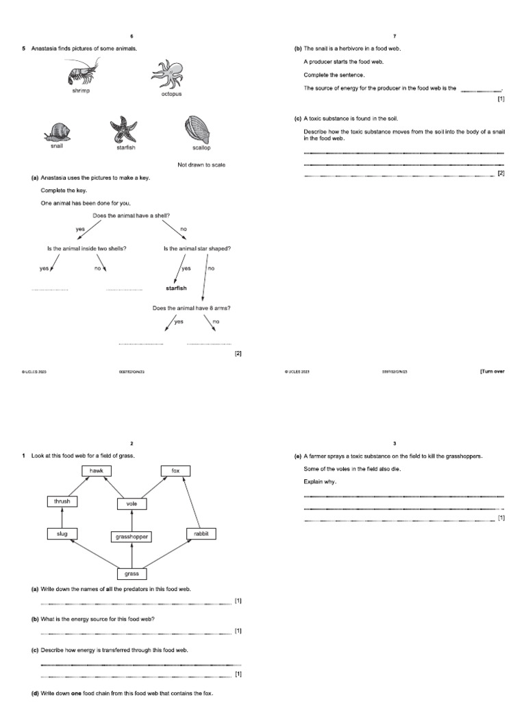 Revision Booklet Unit 4 | PDF