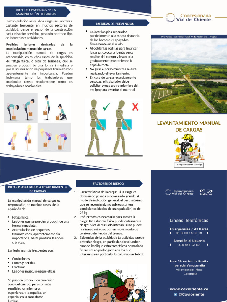 Folleto Levantamiento Manual de Cargas | PDF | La columna vertebral | Dolor lumbar
