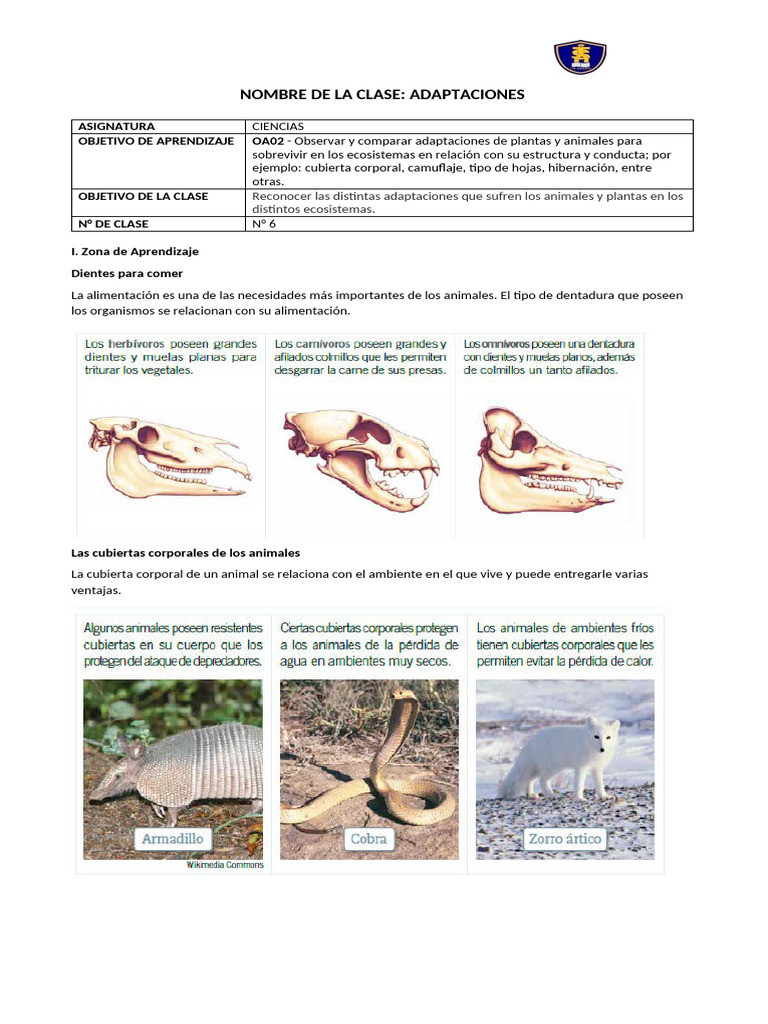 Clase 6 Adaptaciones de Los Animales Ciencias Unidad 4 | PDF