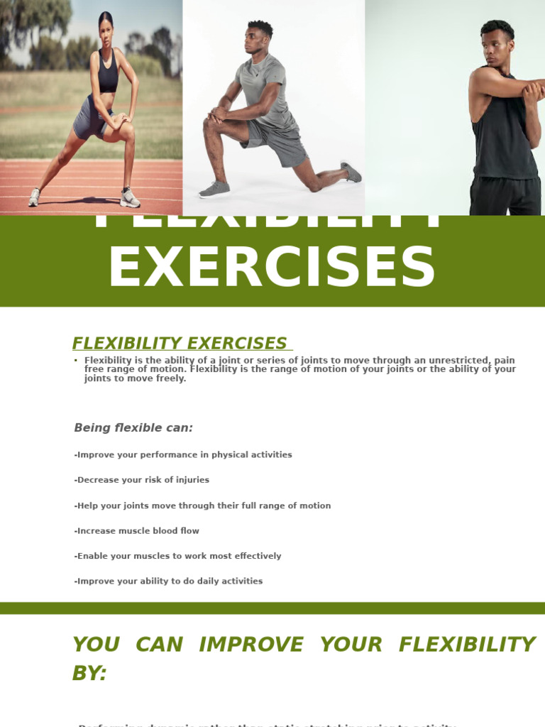 Flexibility Exercises | PDF