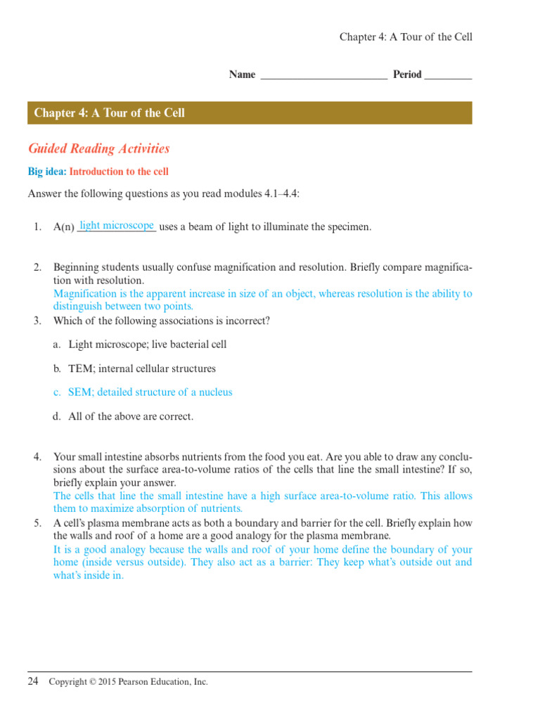 04 Guided Reading Activity Answers | PDF | Cell (Biology) | Endoplasmic ...