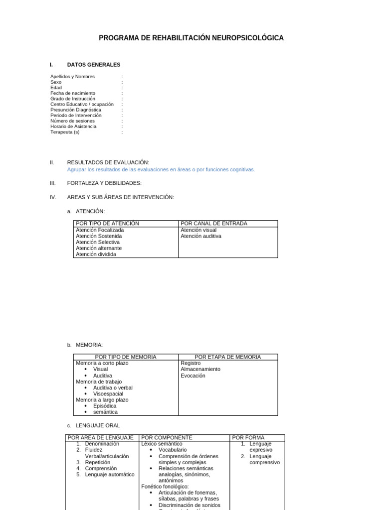 Esquema de Programa | PDF | Memoria | Atención