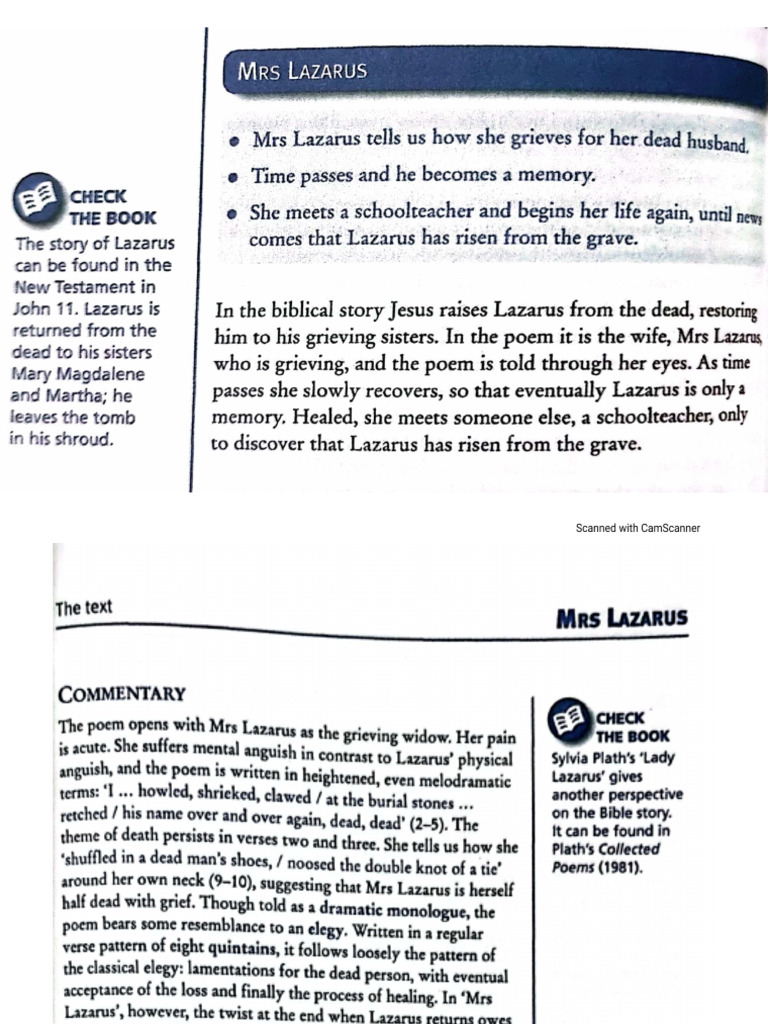 Mrs Lazarus York Notes | PDF