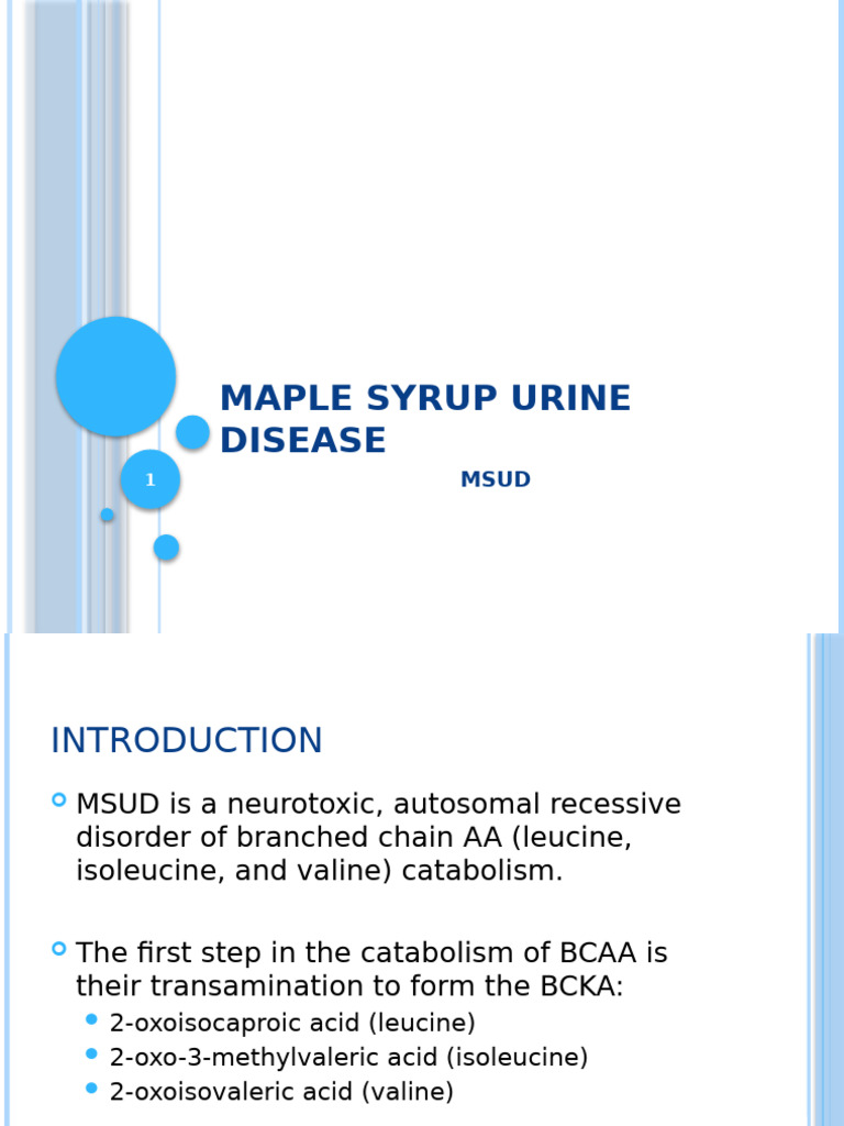 Maple Syrup Urine Disease - E-Learning | PDF | Human Diseases And ...