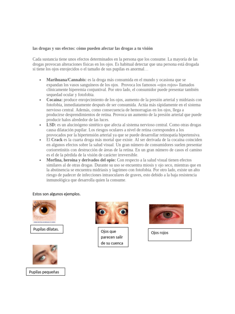Las Drogas y Sus Efectos | PDF